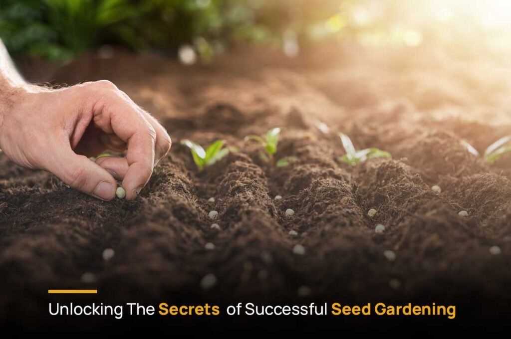 Unlocking The Secrets of Successful Seed Gardening